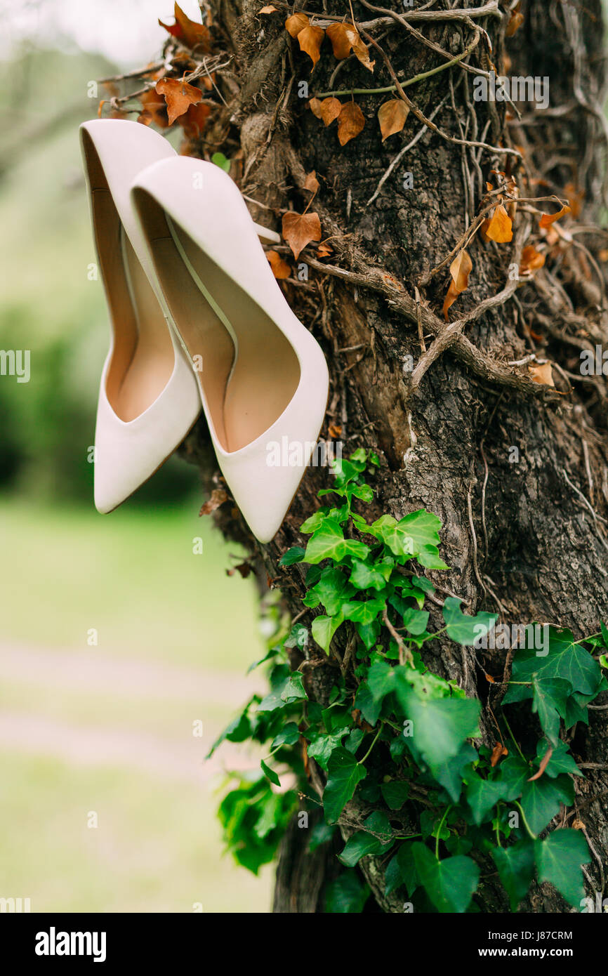 Scarpe appese al ramo di un albero immagini e fotografie stock ad alta ...