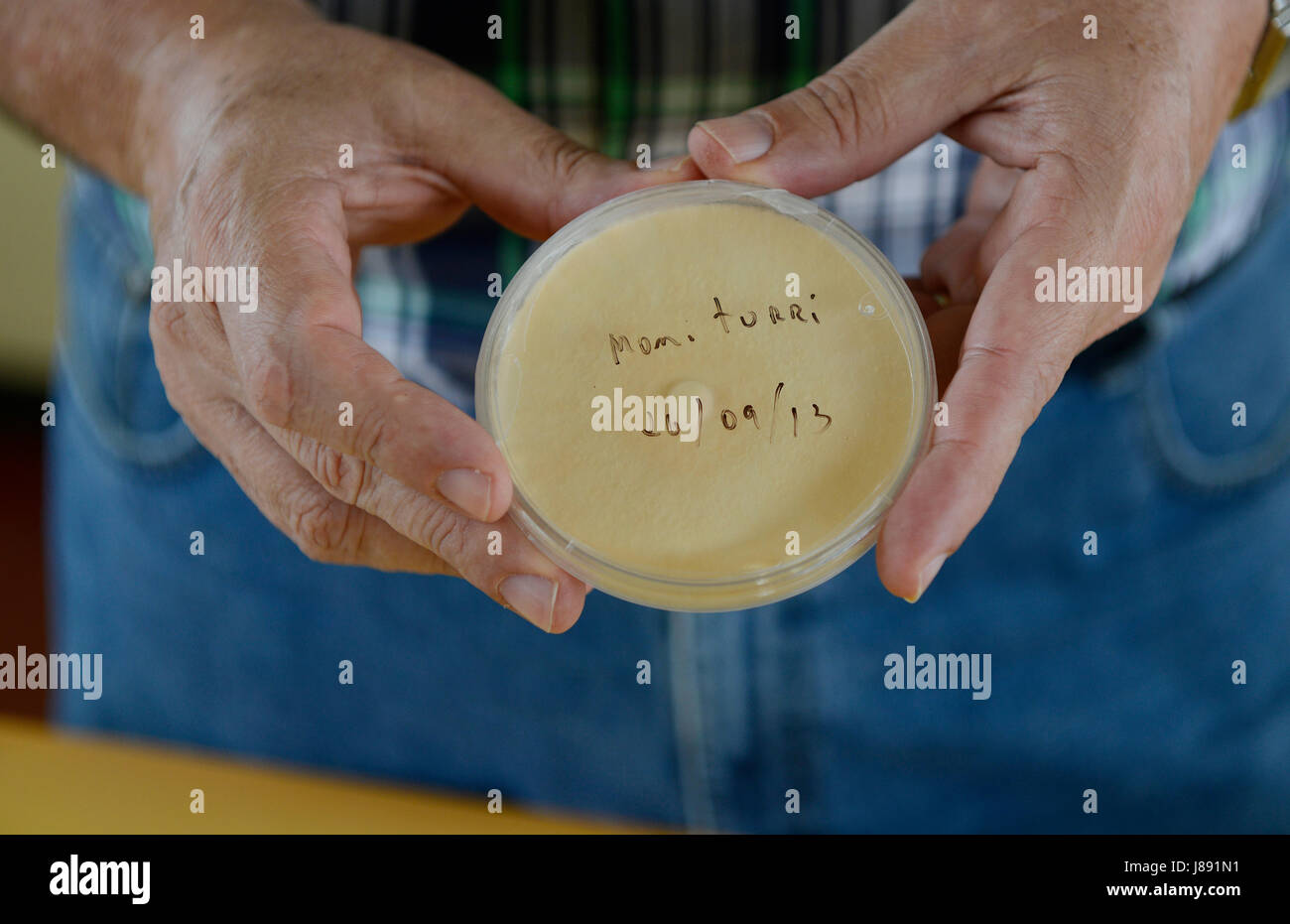 Monilia fungus immagini e fotografie stock ad alta risoluzione - Alamy