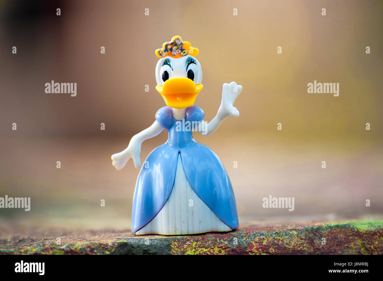 Anatra peluche immagini e fotografie stock ad alta risoluzione - Alamy