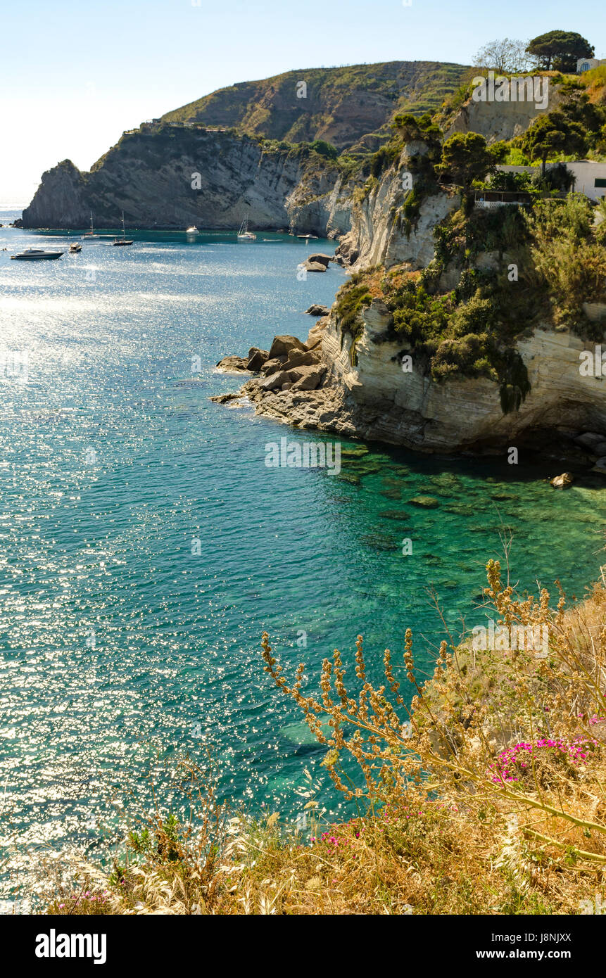 Spiaggia dell'isola di ischia immagini e fotografie stock ad alta ...