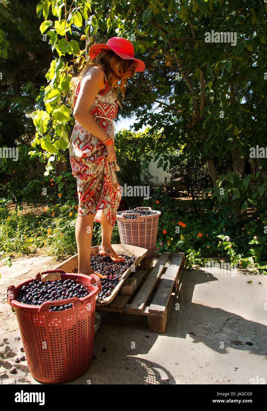 Pigiatura uva piedi immagini e fotografie stock ad alta risoluzione - Alamy