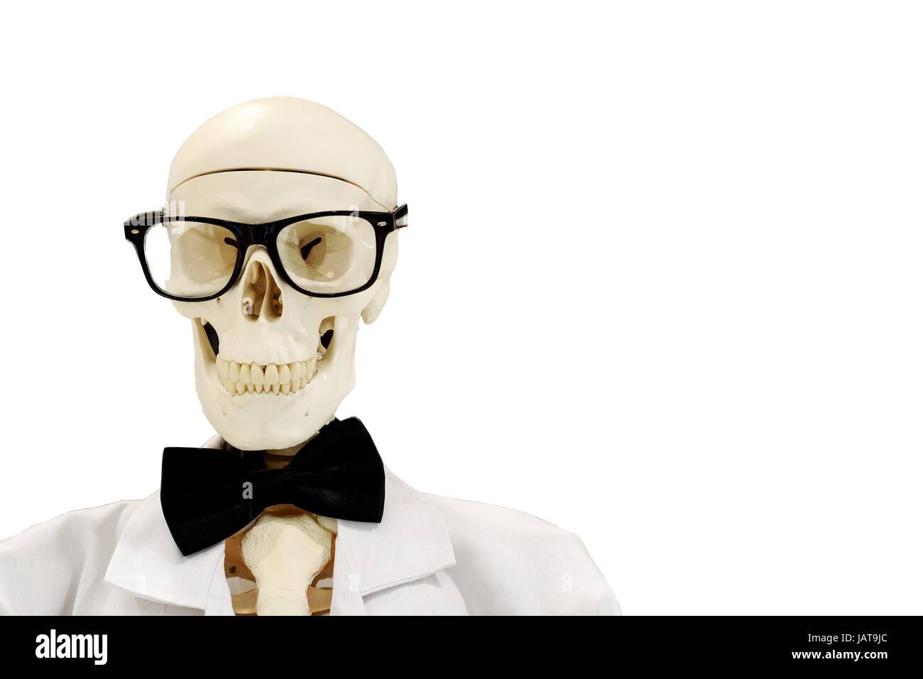 Modello di scheletro umano di uno scheletro immagini e fotografie stock ...