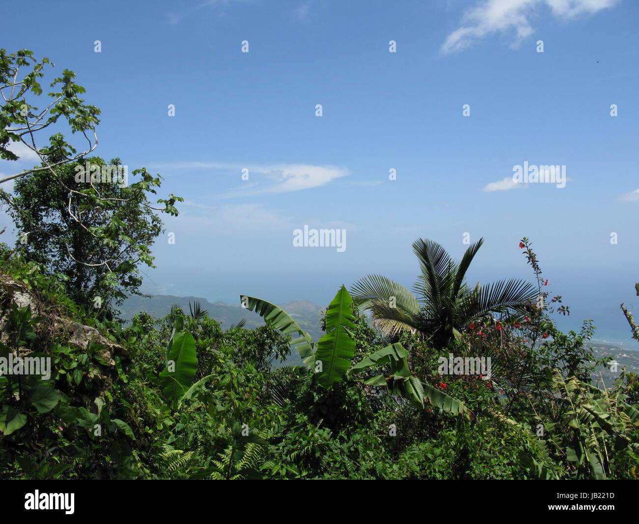 Pico de torres immagini e fotografie stock ad alta risoluzione - Alamy