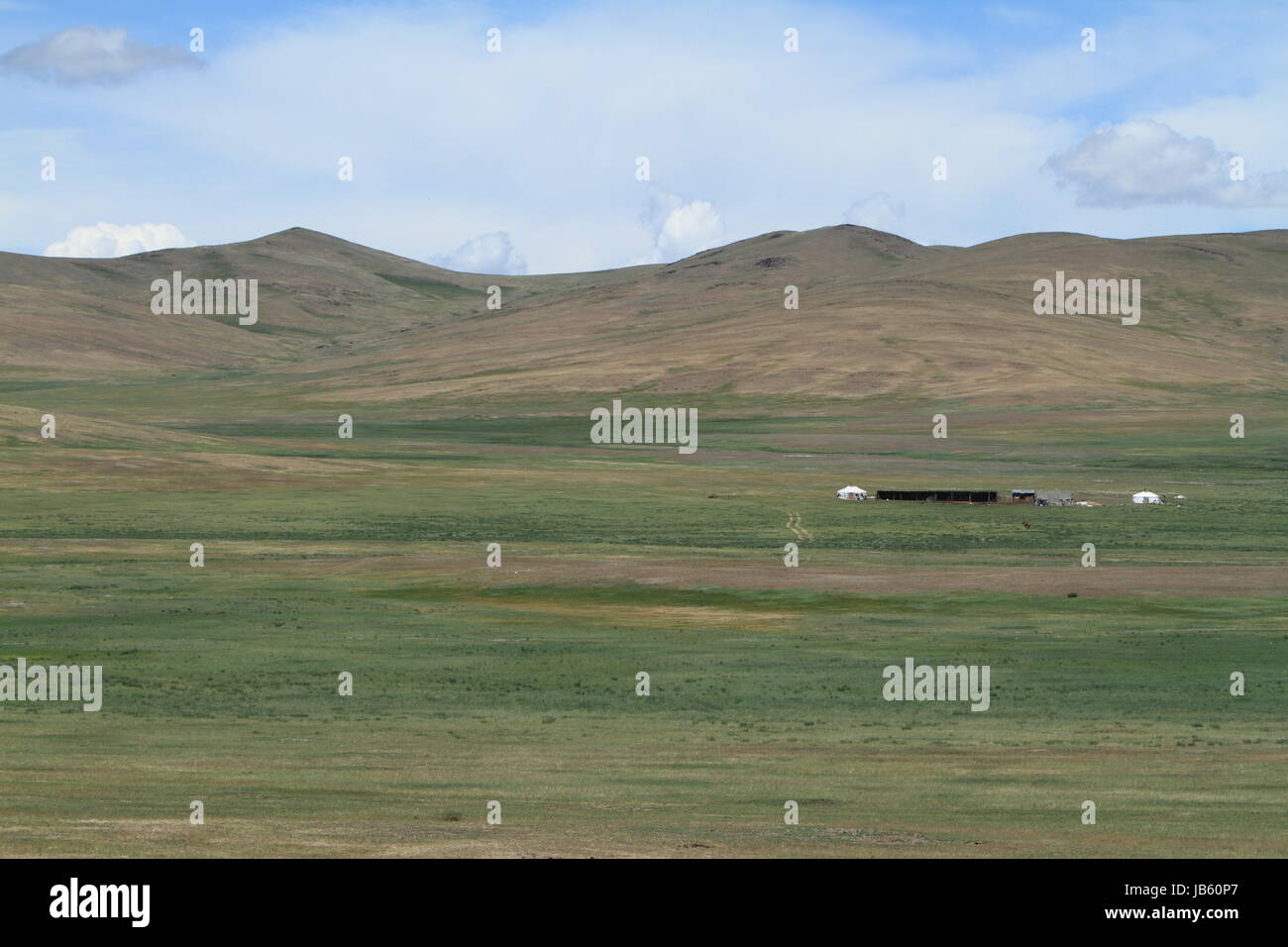 Steppa mongolenica immagini e fotografie stock ad alta risoluzione - Alamy