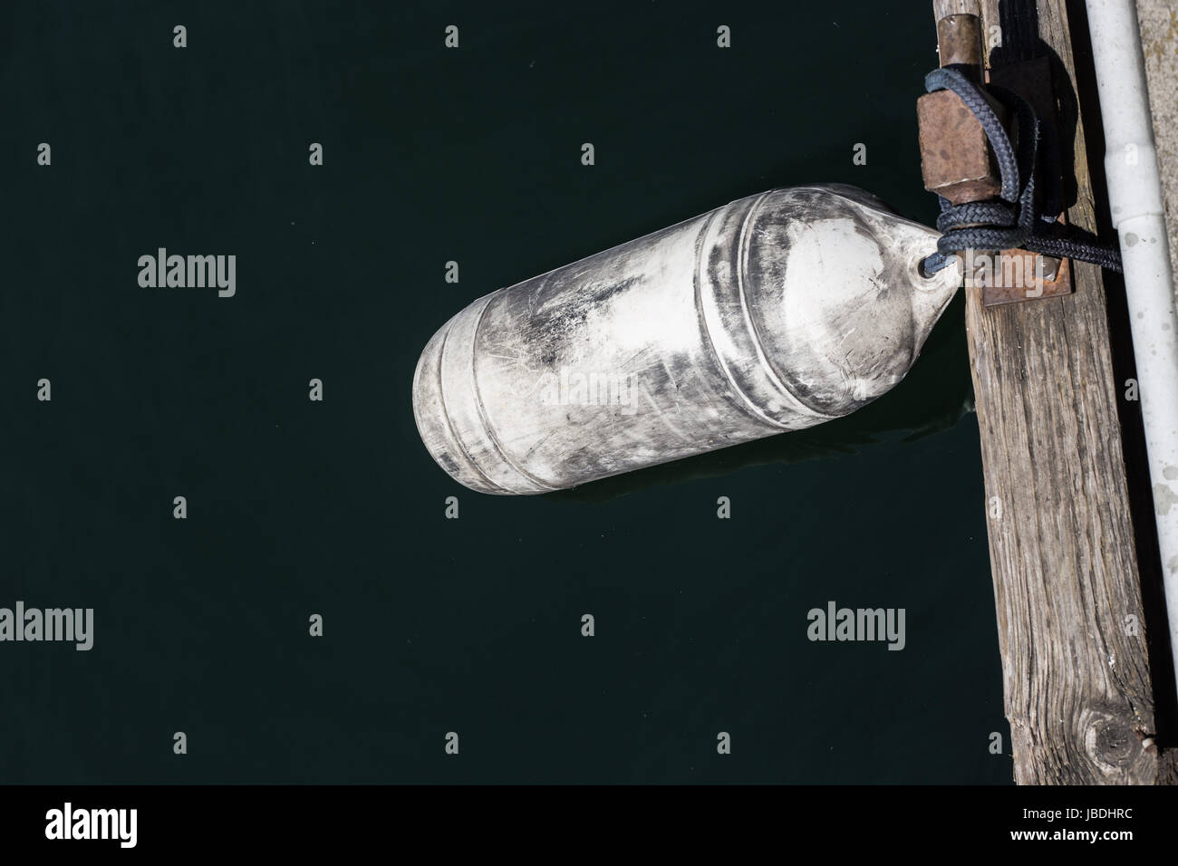 Boa di mare immagini e fotografie stock ad alta risoluzione - Alamy