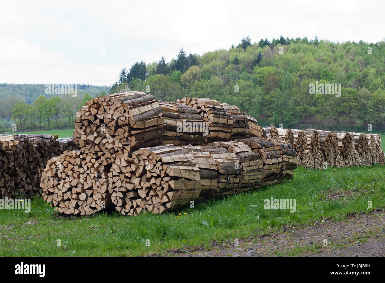 Legna da ardere impacchettata immagini e fotografie stock ad alta ...