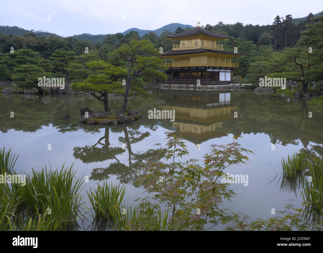 Il Kinkaku-ji (Tempio d'oro Padiglione) a Kyoto, in Giappone, è un ...