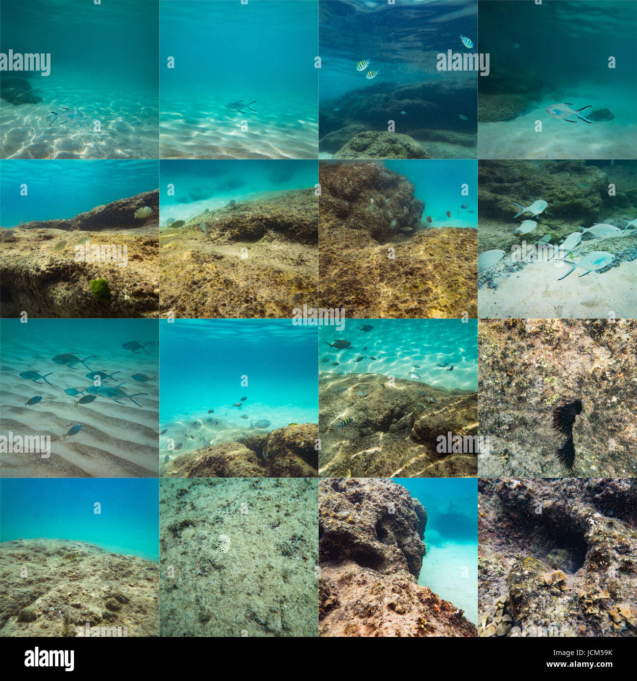 Collage di mare immagini e fotografie stock ad alta risoluzione - Alamy