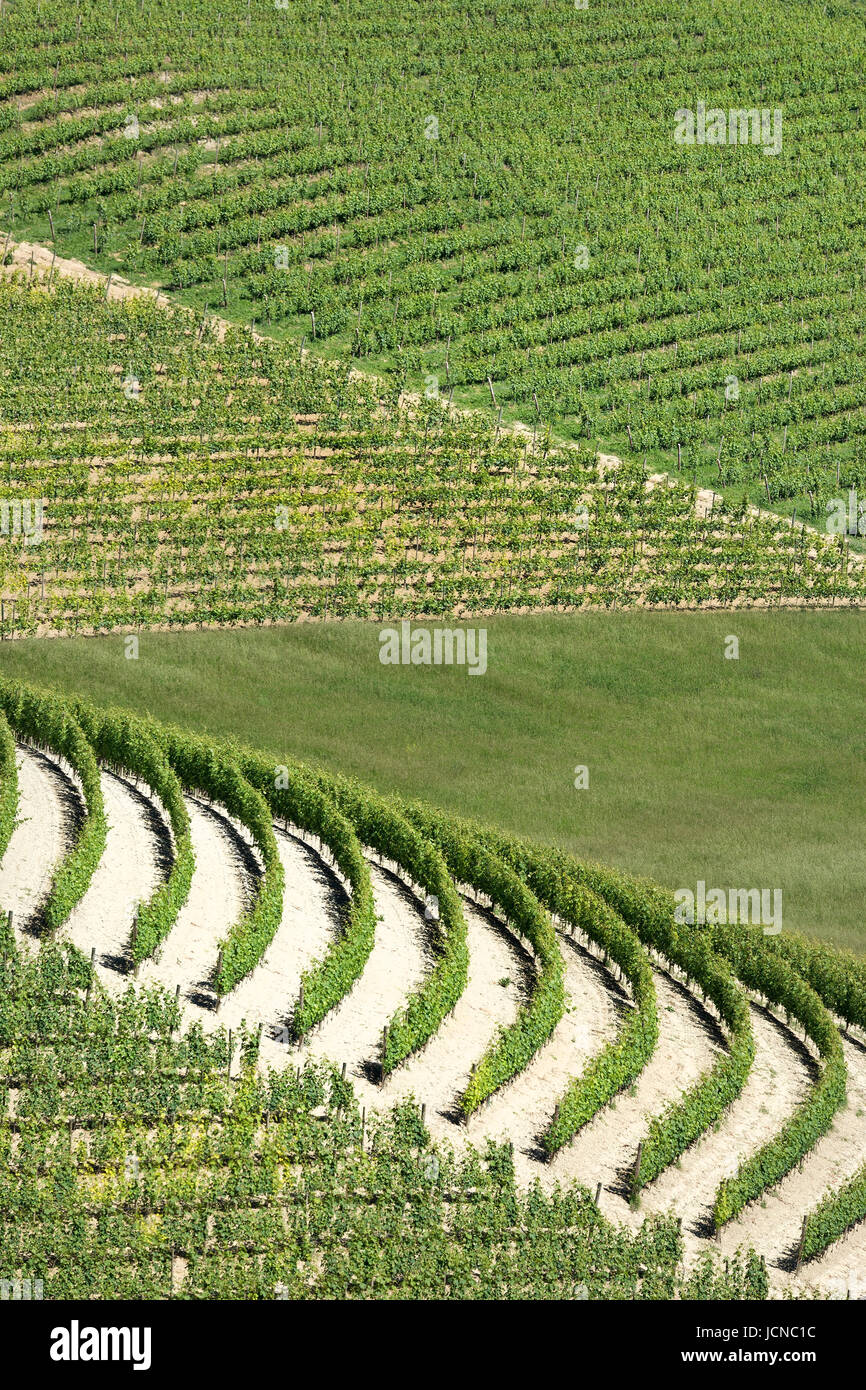 Visitare piemonte immagini e fotografie stock ad alta risoluzione - Alamy