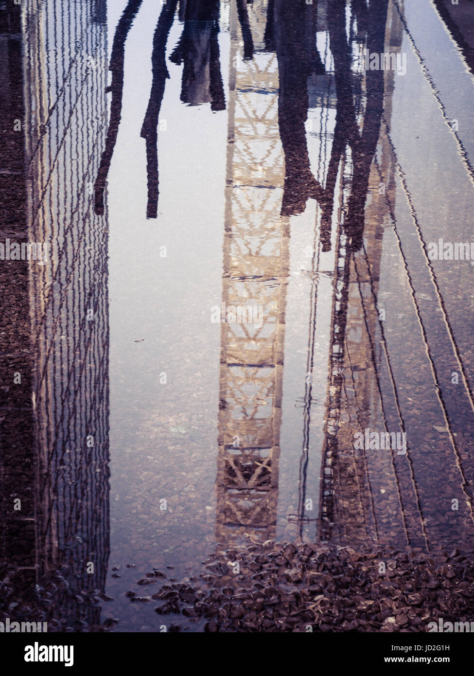 Gru riflessa nell'acqua immagini e fotografie stock ad alta risoluzione ...