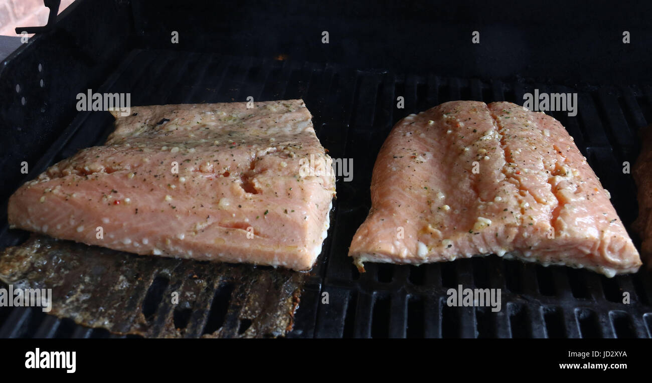 Pesci grassi immagini e fotografie stock ad alta risoluzione - Alamy