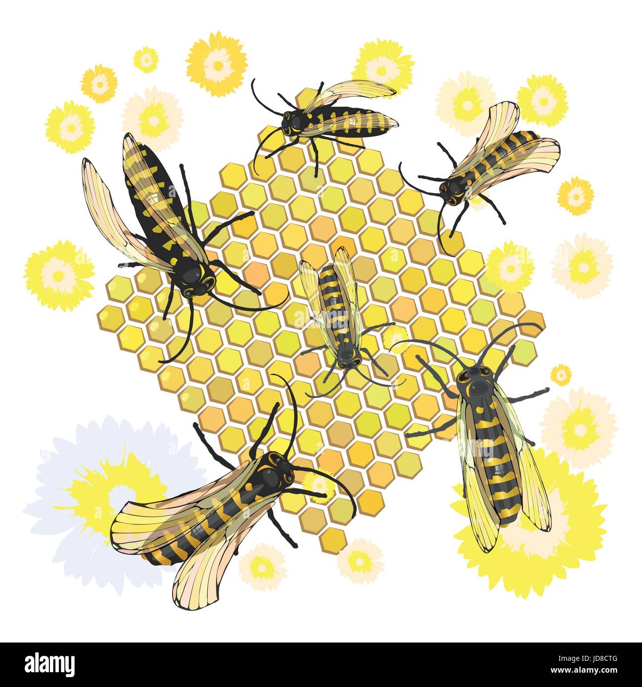 Danza delle api Immagini Vettoriali Stock - Alamy