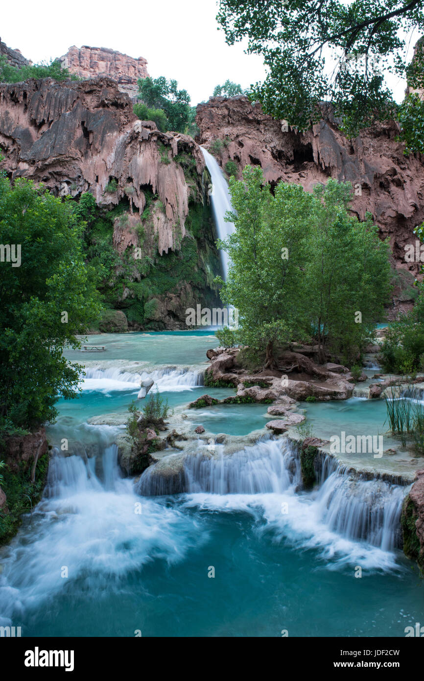 Cascate di havasupai e grand canyon immagini e fotografie stock ad alta risoluzione - Alamy