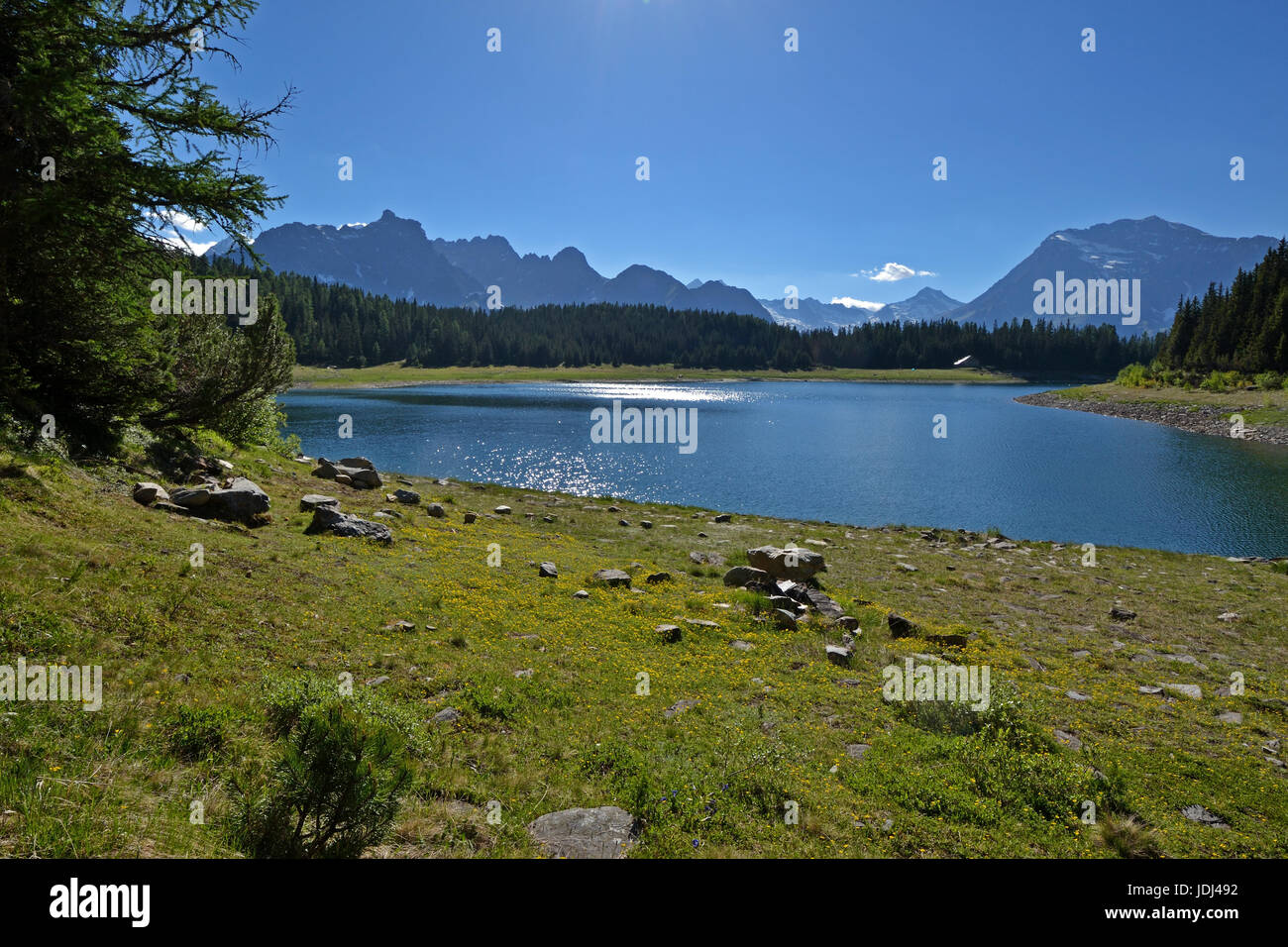 Valmalenco lago palù immagini e fotografie stock ad alta risoluzione ...