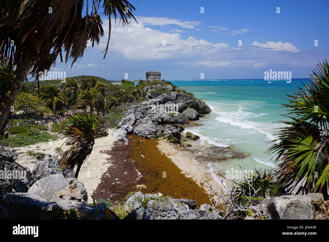 Spiagge di tulum immagini e fotografie stock ad alta risoluzione - Alamy
