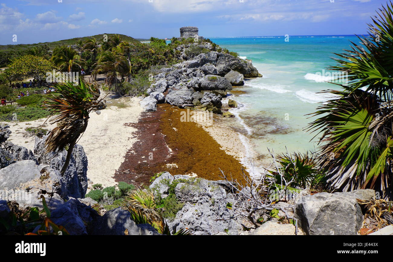 Spiagge di tulum immagini e fotografie stock ad alta risoluzione - Alamy