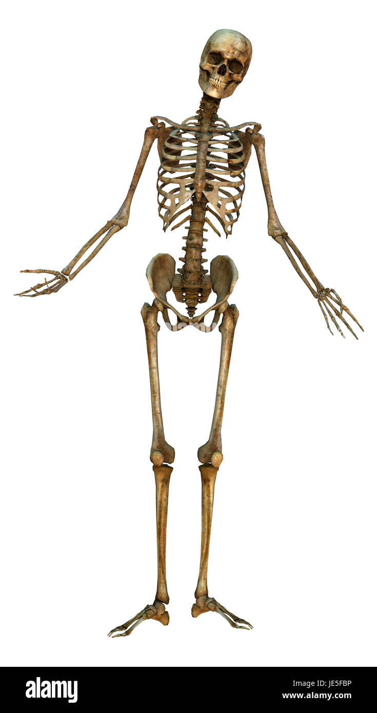 3D render digitale di un antico scheletro umano isolato su sfondo ...