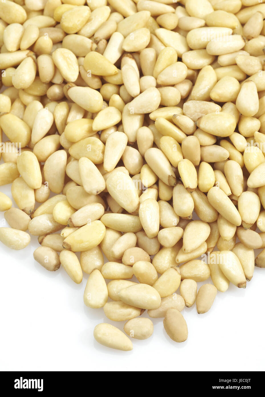 Pino pinus sp immagini e fotografie stock ad alta risoluzione - Alamy