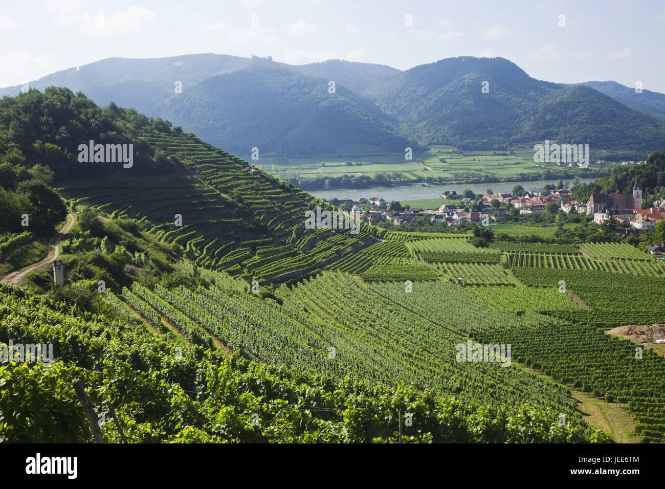 Punto wachau immagini e fotografie stock ad alta risoluzione - Alamy