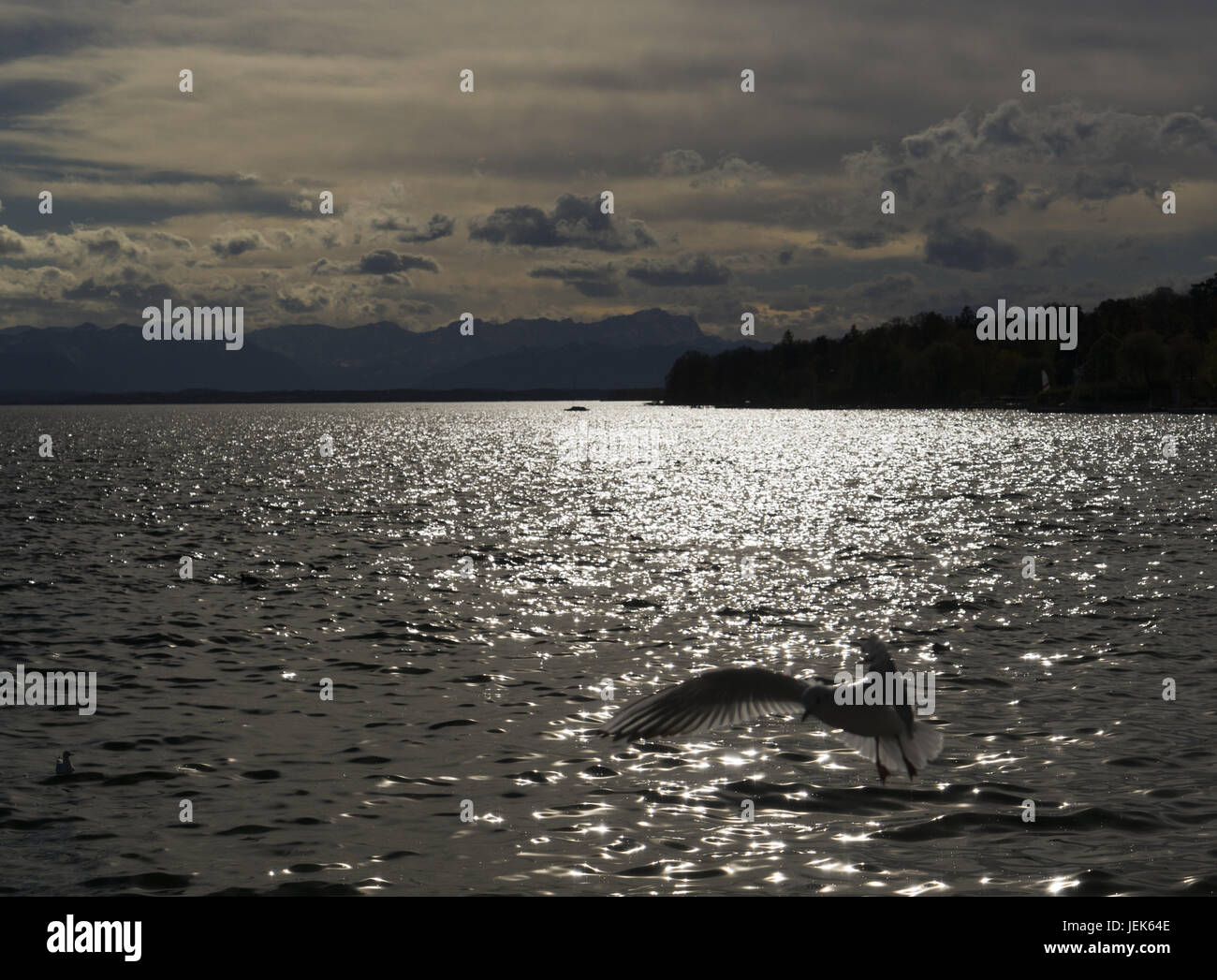 Starnberg del lago immagini e fotografie stock ad alta risoluzione - Alamy