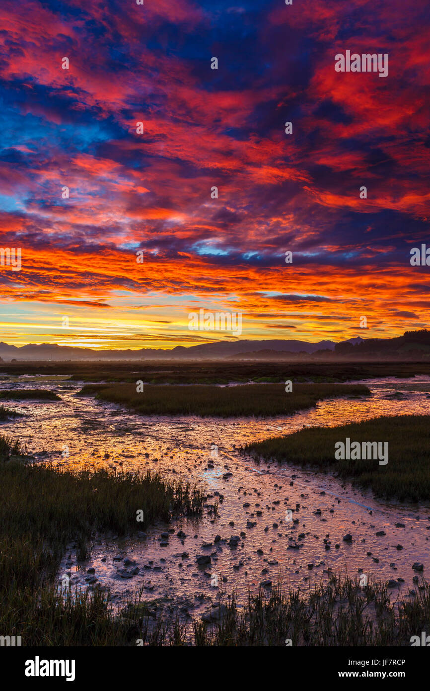 Parco naturale delle paludi di victoria e joyel immagini e fotografie ...
