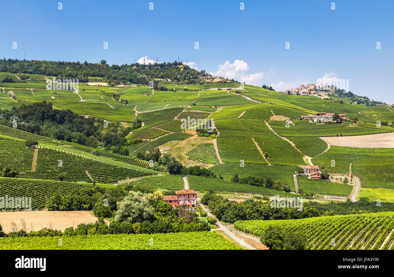 Barolo italy immagini e fotografie stock ad alta risoluzione - Alamy