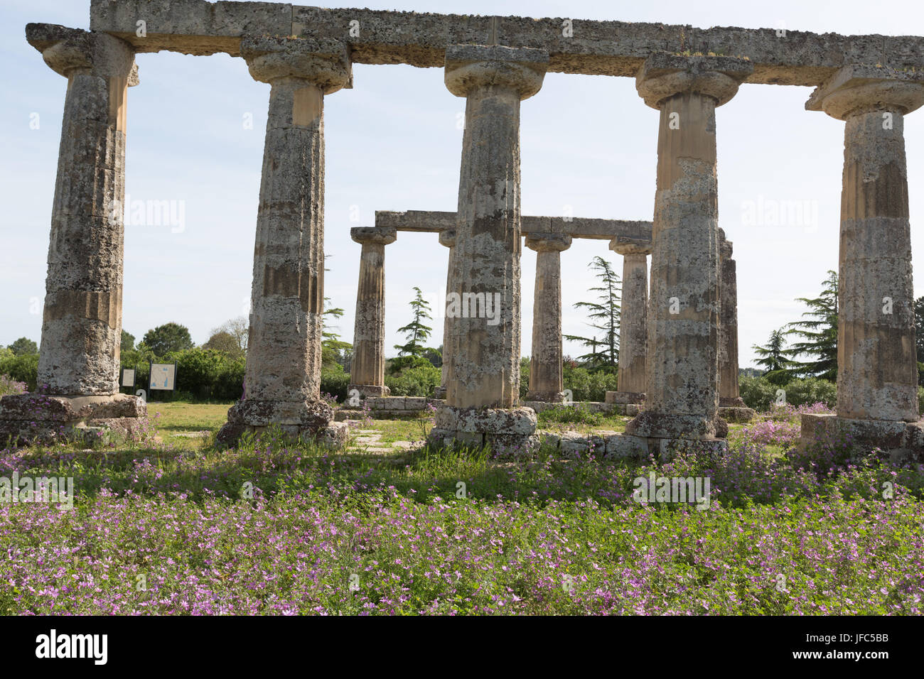 Tavole palatine immagini e fotografie stock ad alta risoluzione - Alamy