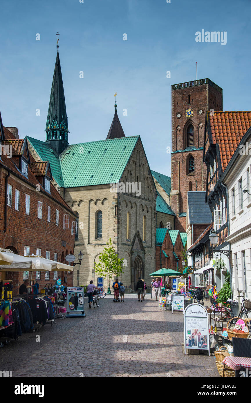 La zona pedonale con le case storiche in Ribe, Danimarca più antichi ...