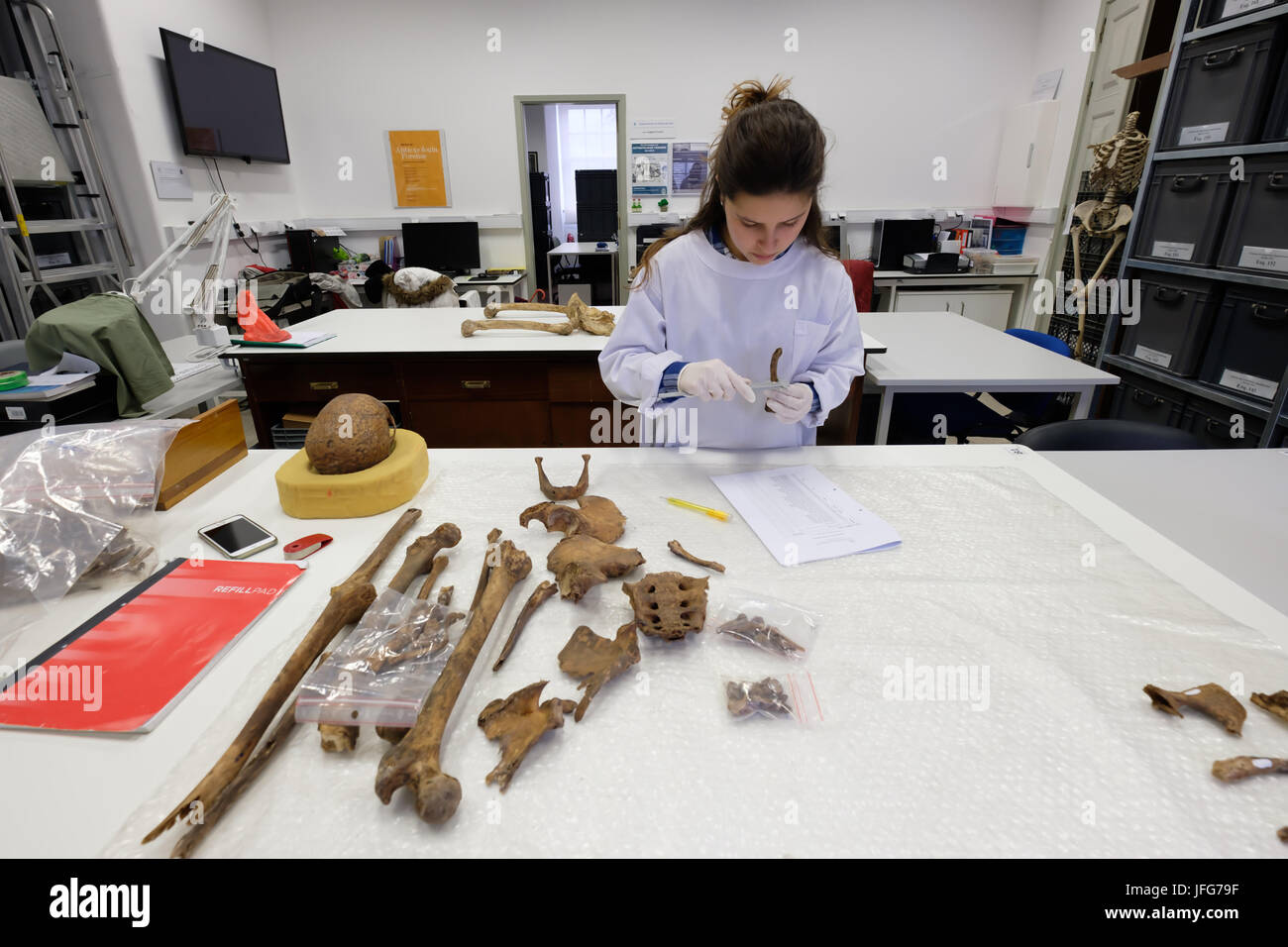 Archeologo forense antropologo immagini e fotografie stock ad alta ...