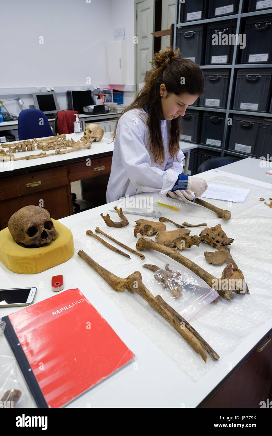 Archeologo forense e antropologo immagini e fotografie stock ad alta ...