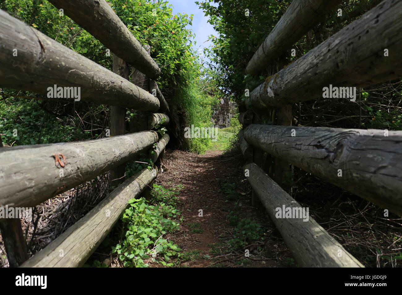 Immagini dell'isola di ascensione immagini e fotografie stock ad alta ...