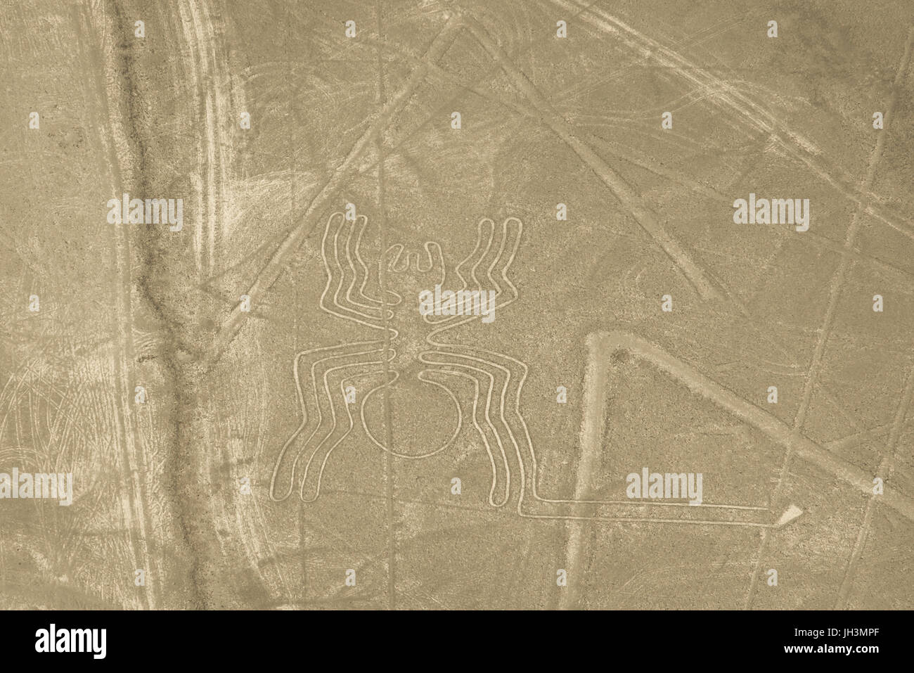 Nazca lines peru immagini e fotografie stock ad alta risoluzione - Alamy