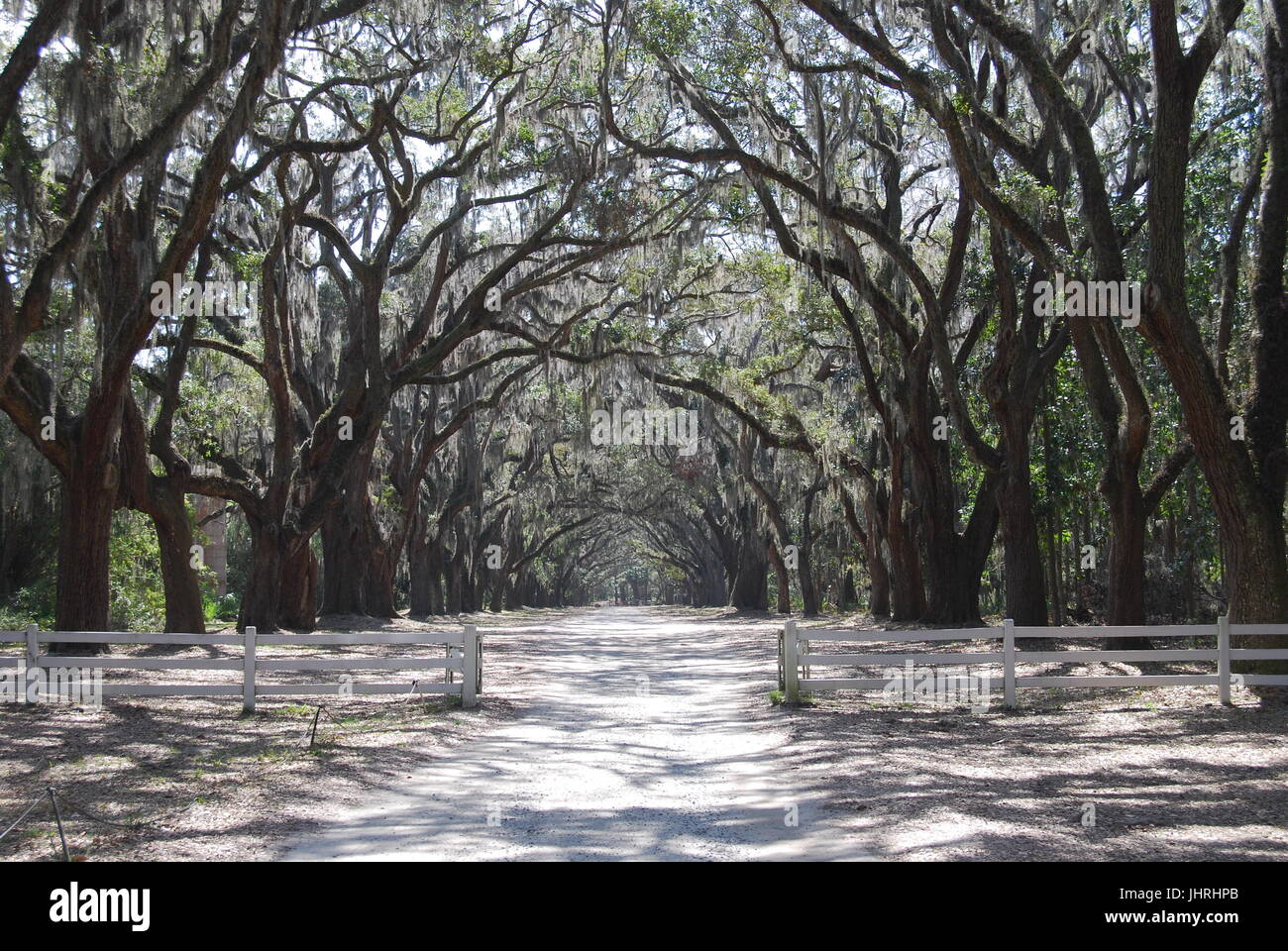 Cancello aperto immagini e fotografie stock ad alta risoluzione - Alamy