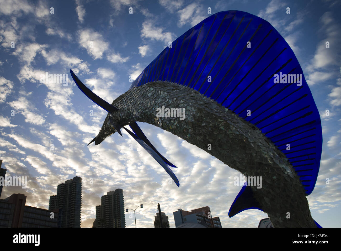 Pesce marlin immagini e fotografie stock ad alta risoluzione - Alamy