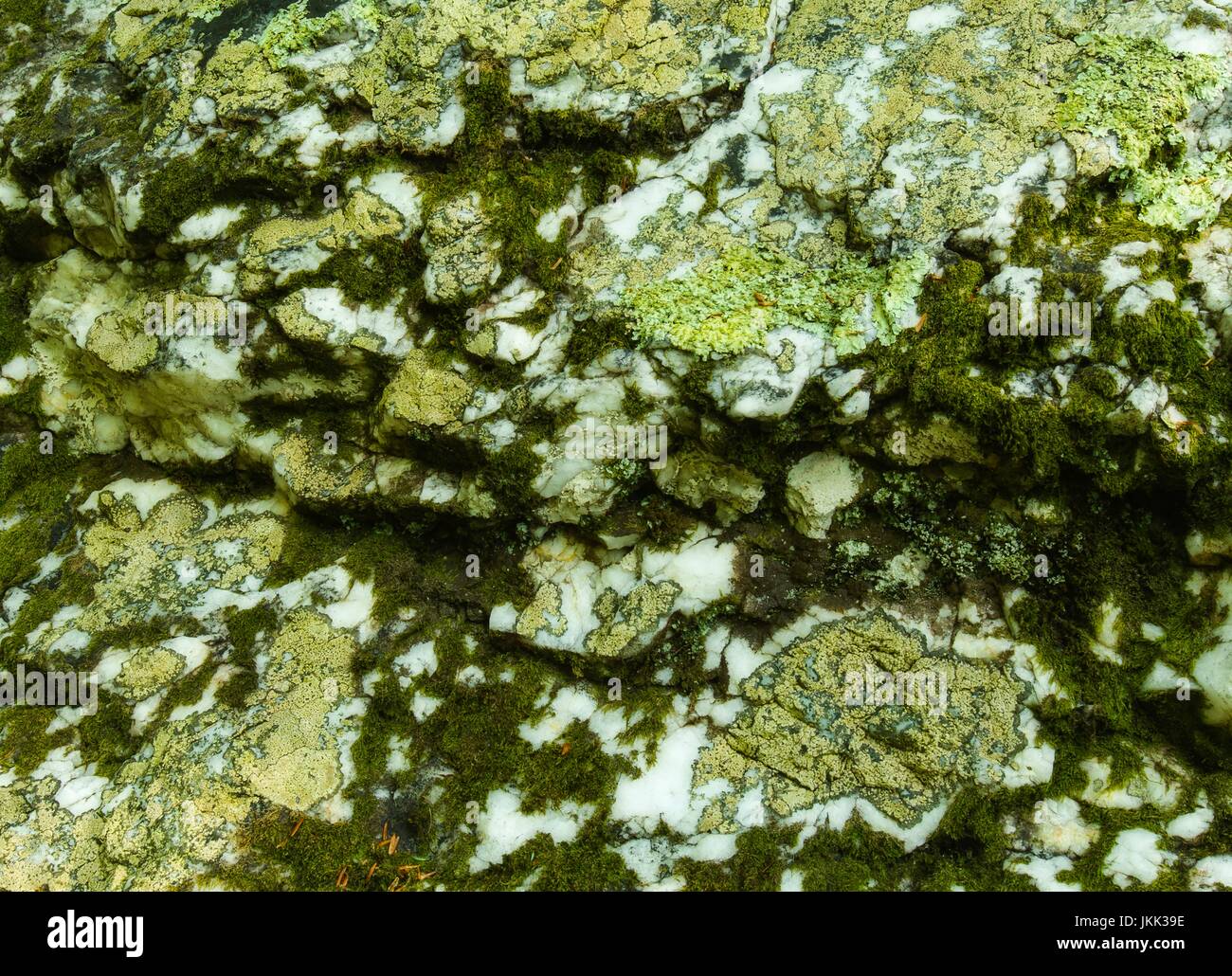 Orton moss immagini e fotografie stock ad alta risoluzione - Alamy