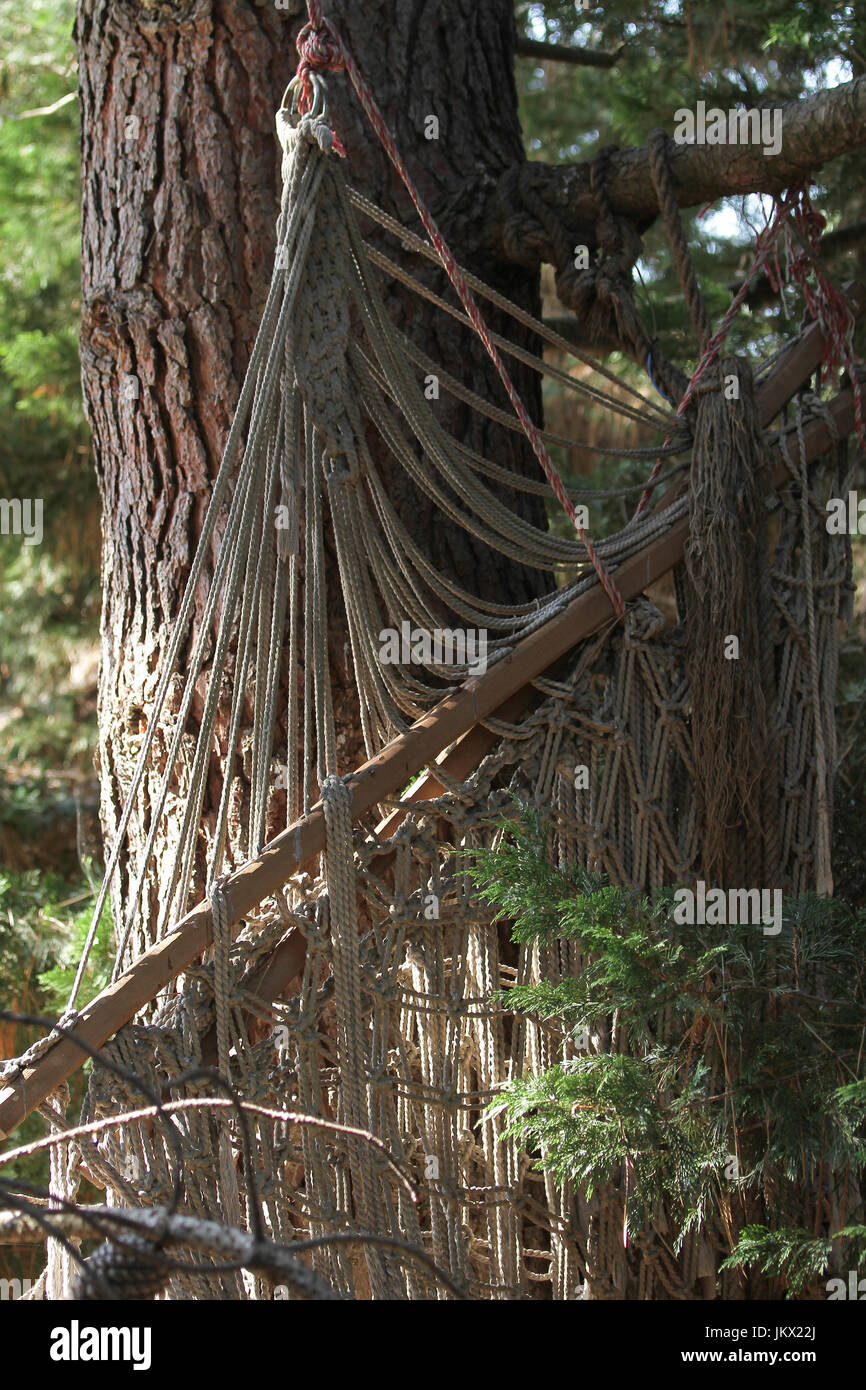 Accamparsi nel bosco immagini e fotografie stock ad alta risoluzione ...