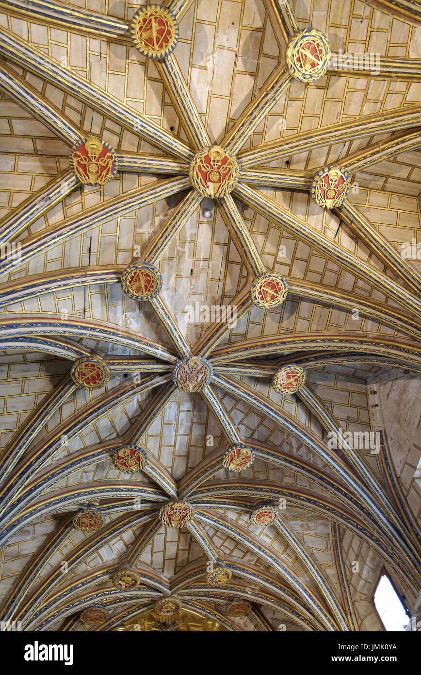 Volta a crociera incrociata immagini e fotografie stock ad alta risoluzione - Alamy