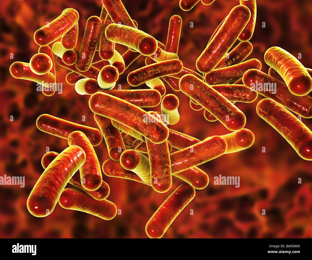 Batteri Shigella, illustrazione del computer. Shigella sp. sono Gram ...