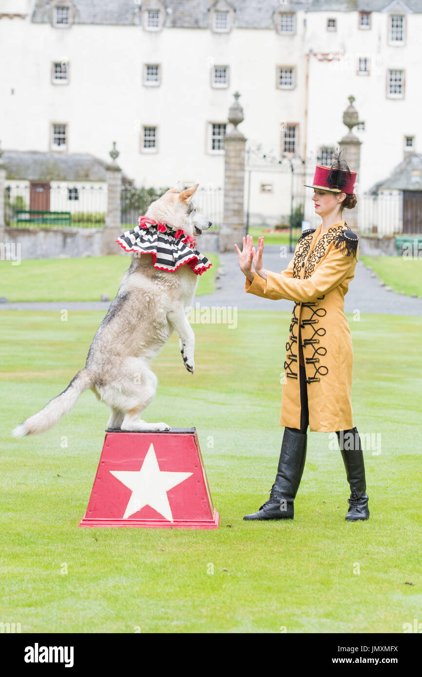 Foto: Ring Master Bethany Martin e i suoi cani Mosca il Nord Inuit ...