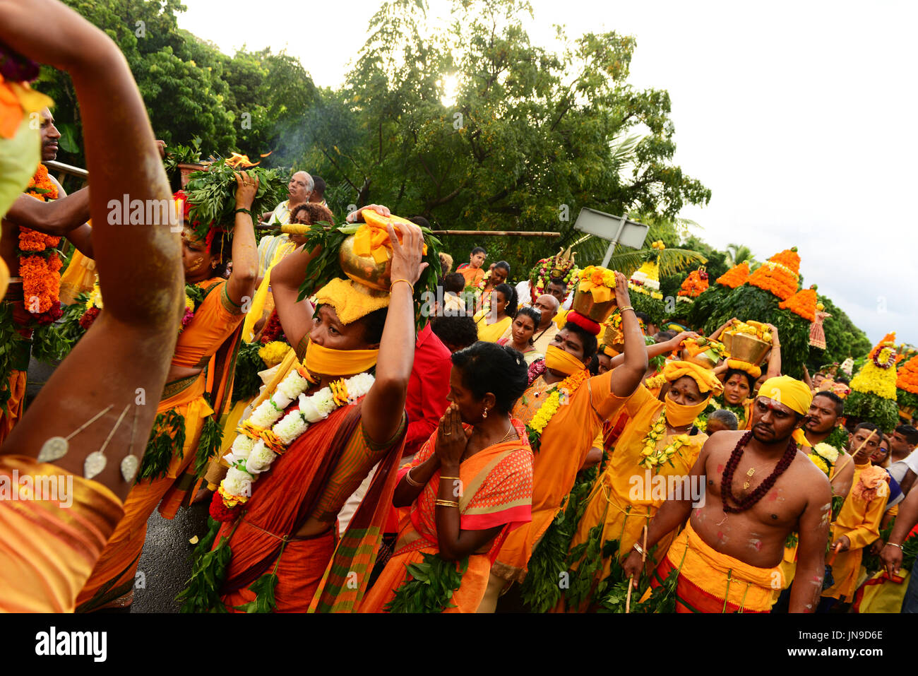 Mauritius indigenous immagini e fotografie stock ad alta risoluzione ...
