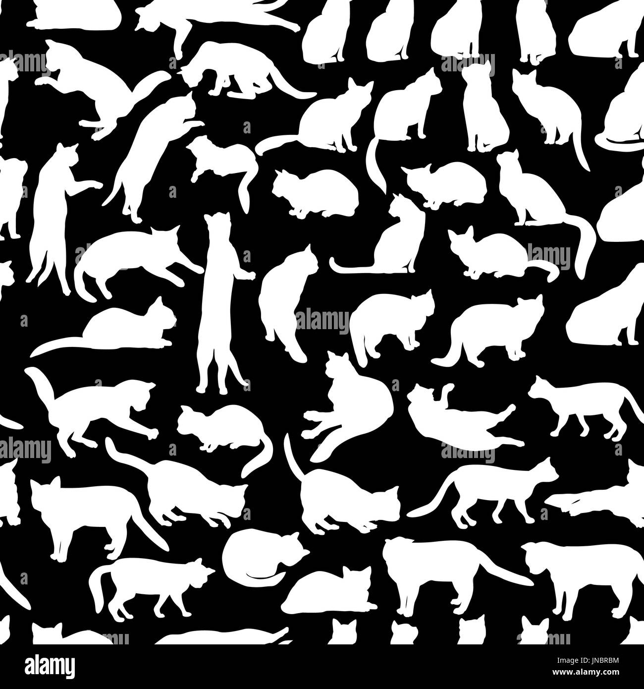 Sagoma addormentata del gatto Foto e Immagini Stock in Bianco e Nero ...