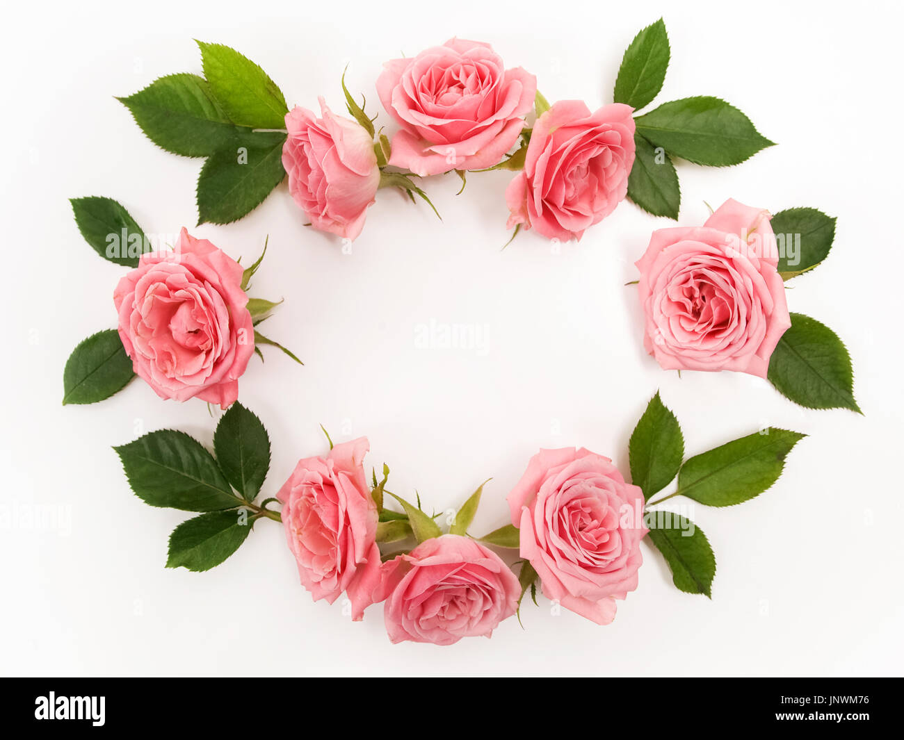 Cornice con rose rosa immagini e fotografie stock ad alta risoluzione ...