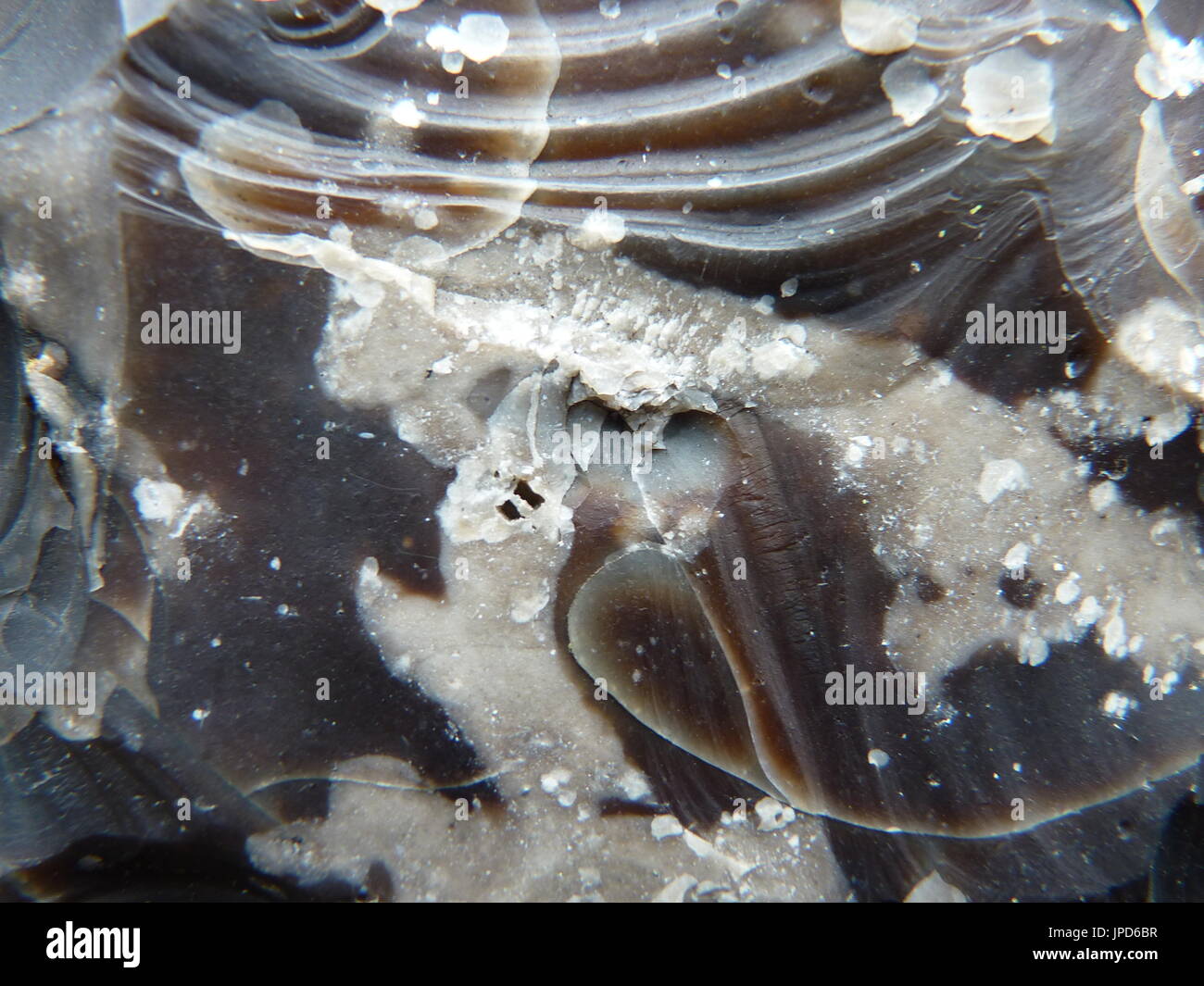 Flint knapping immagini e fotografie stock ad alta risoluzione - Alamy