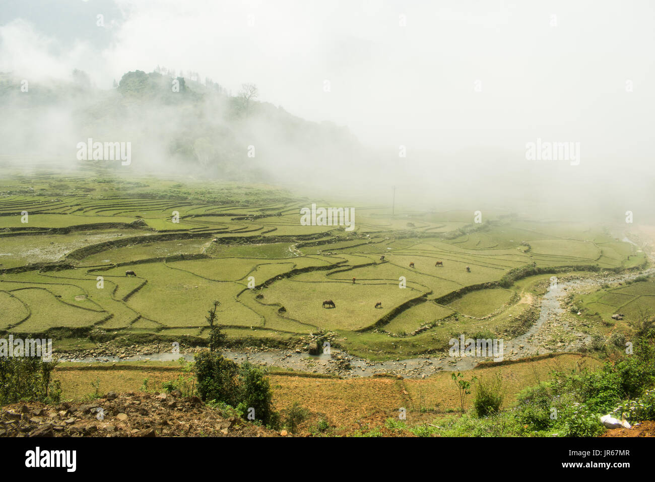 Terrazza della sapa immagini e fotografie stock ad alta risoluzione - Alamy