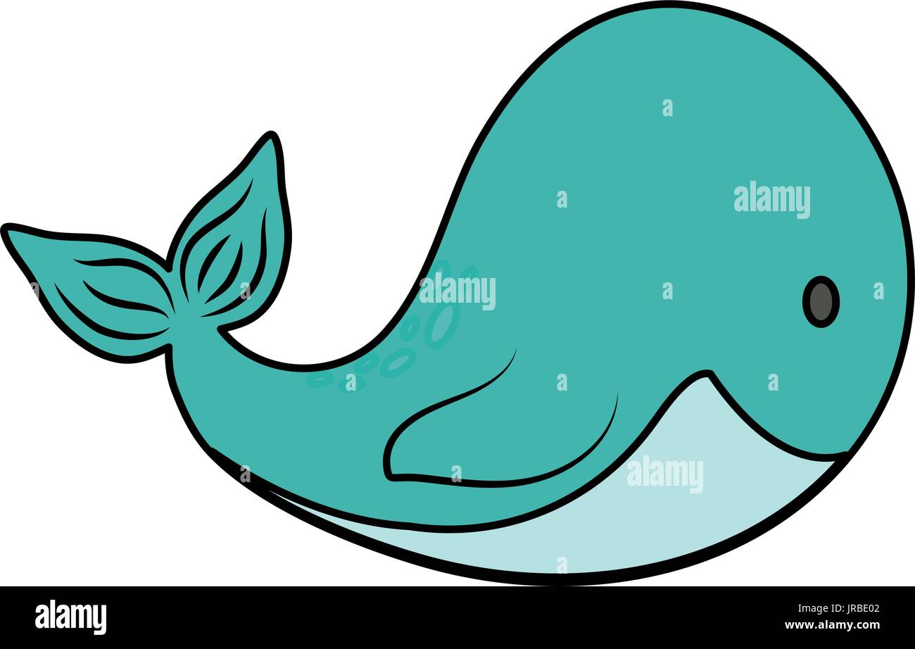 Carina balena Immagini Vettoriali Stock - Alamy