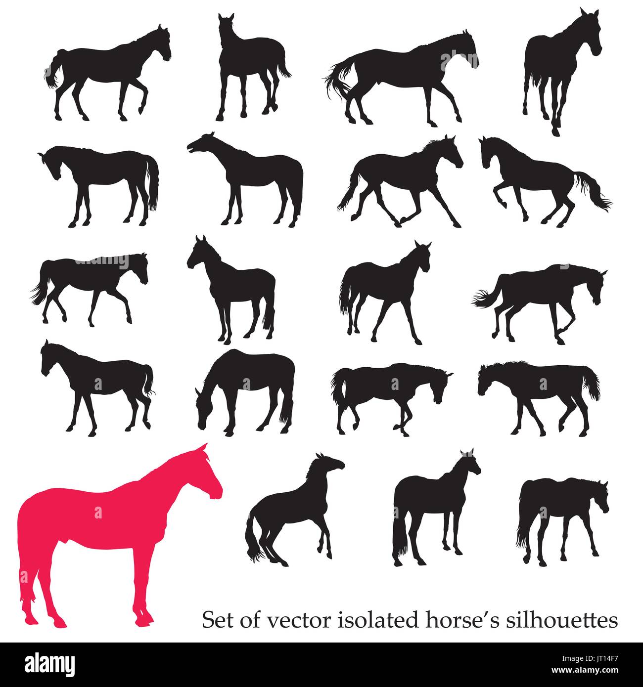 Il vettore isolato sagome di cavalli in piedi, trotto e al galoppo in ...
