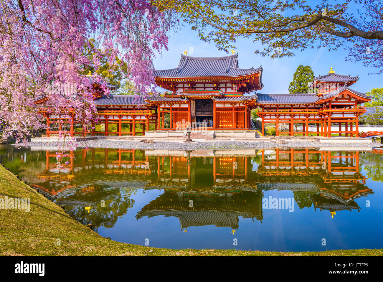 Uji, Kyoto, Giappone a Byodo-in tempio durante la primavera Foto stock ...