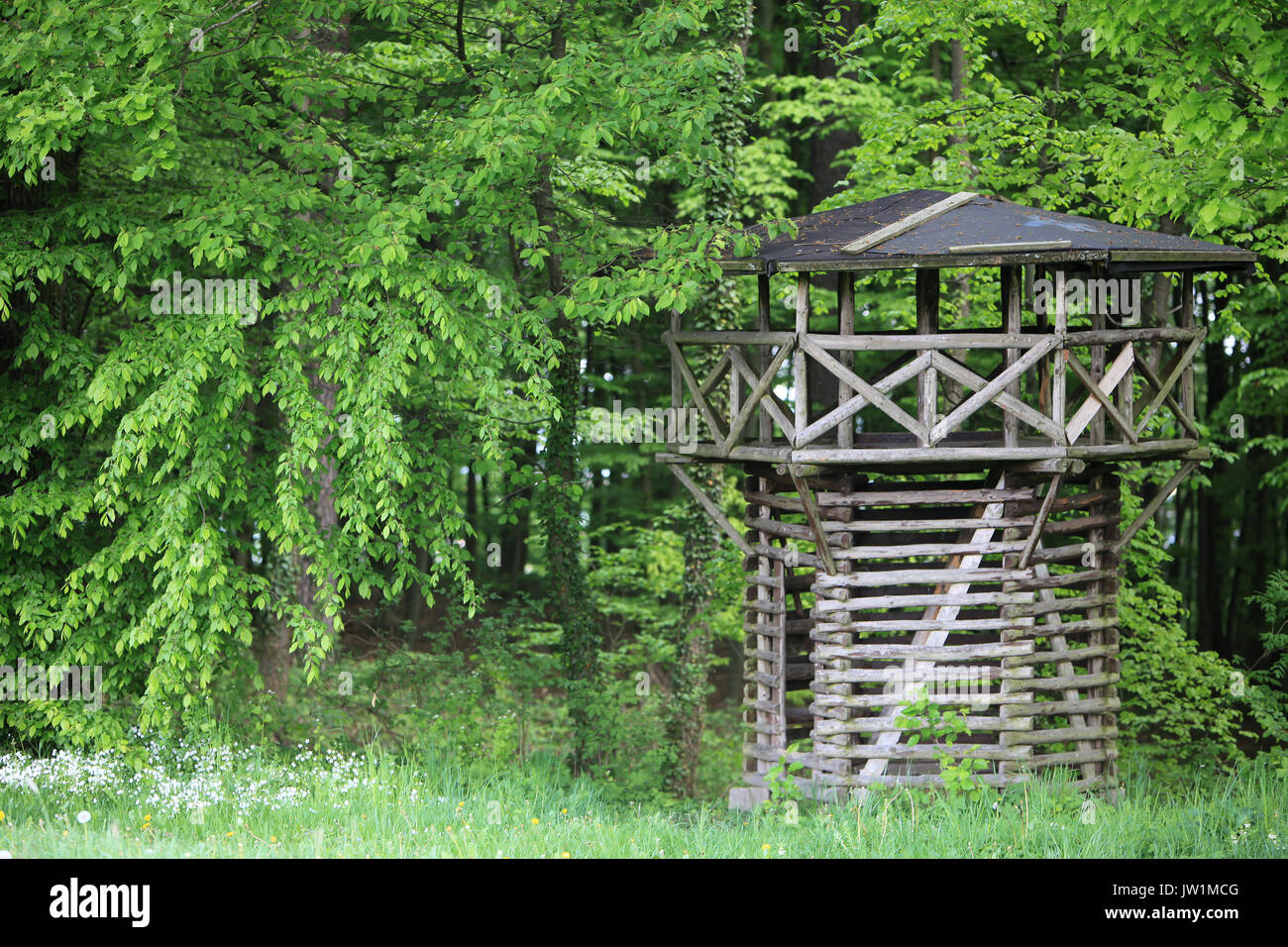 Outlook tower immagini e fotografie stock ad alta risoluzione - Alamy