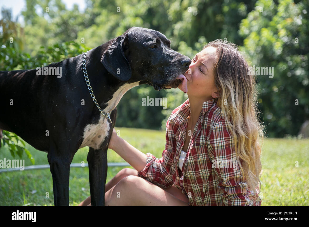 Volto di donna immagini e fotografie stock ad alta risoluzione - Alamy