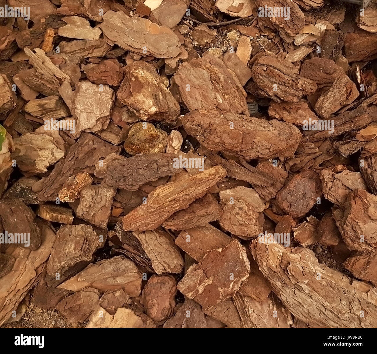 Chip di corteccia immagini e fotografie stock ad alta risoluzione - Alamy